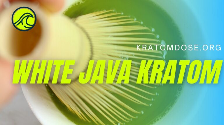 White Java Kratom: Origin, Effects, and Dosage Review - Kratomdose